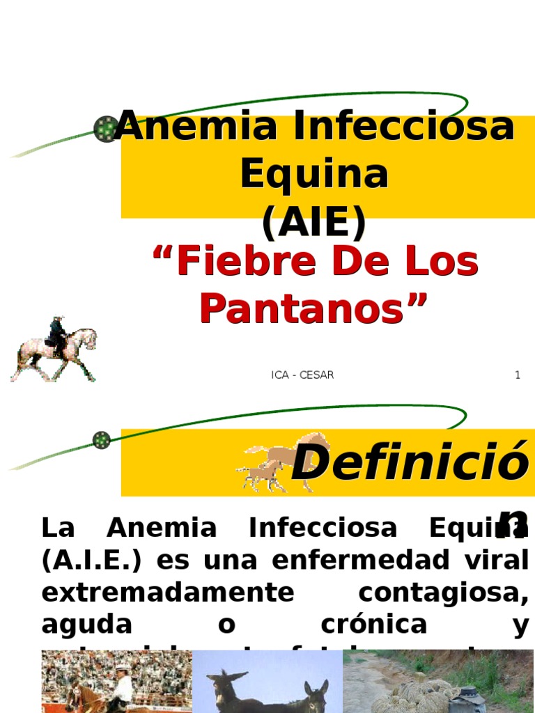Anemia Infecciosa Equina | PDF | Virus | Infección