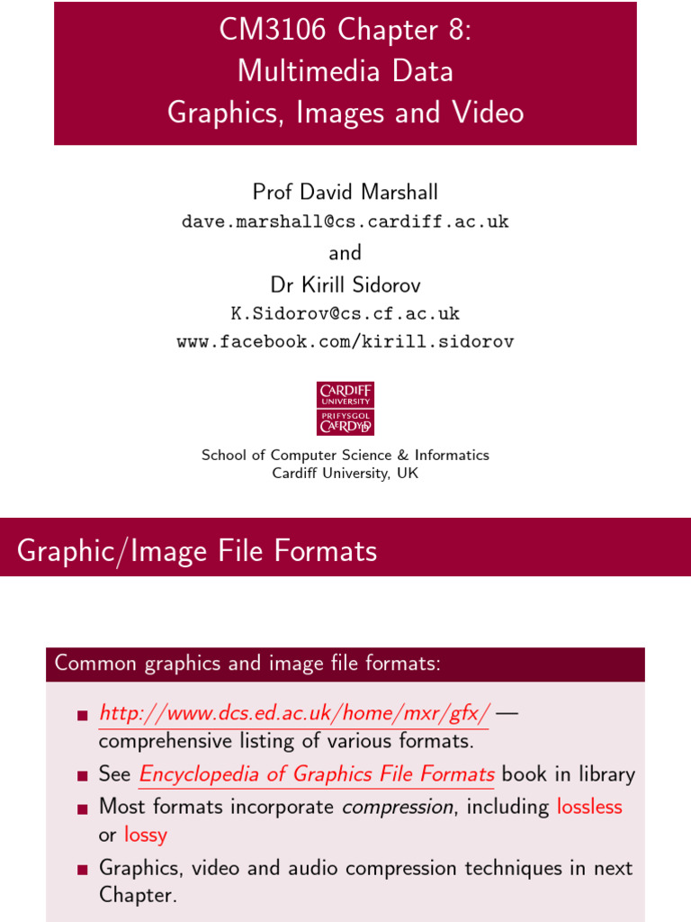 MMREPS Graphic Image Video | PDF | Visual Perception | Computer Graphics