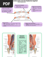 Anatomía del Conducto Inguinal | PDF | Abdomen | Anatomía humana