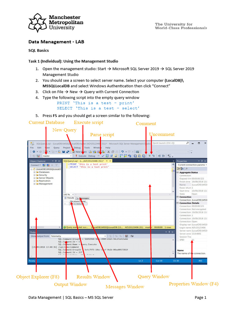 2.0 Tut - SQL Basics | PDF
