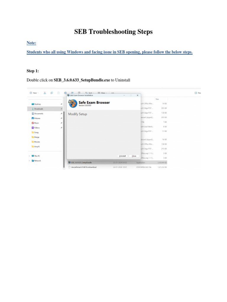 SEB Troubleshooting Guide | PDF
