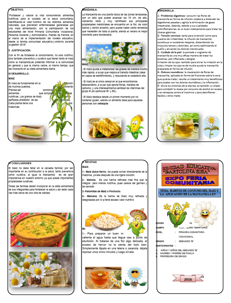 Triptico Iv Feria 2016 Pdf Maíz Cereales
