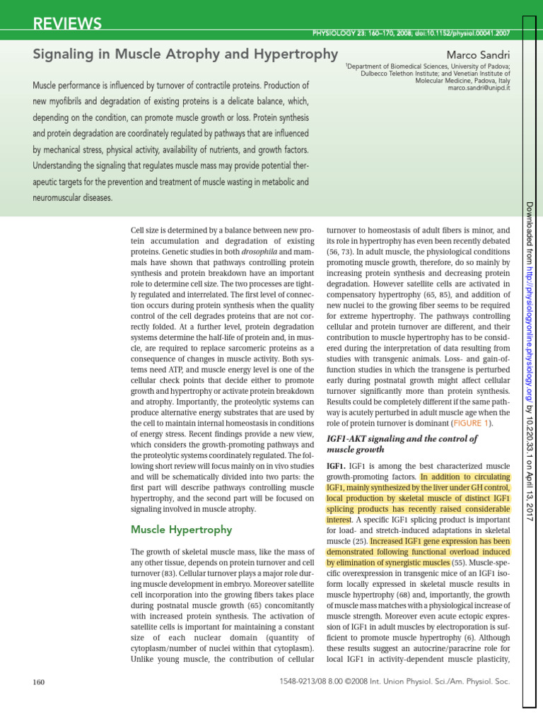 Signaling in Muscle Atrophy and Hypertrophy | PDF | Protein Kinase B ...