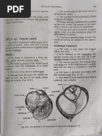 Anatomy of Snails | PDF | Mollusca | Molluscs
