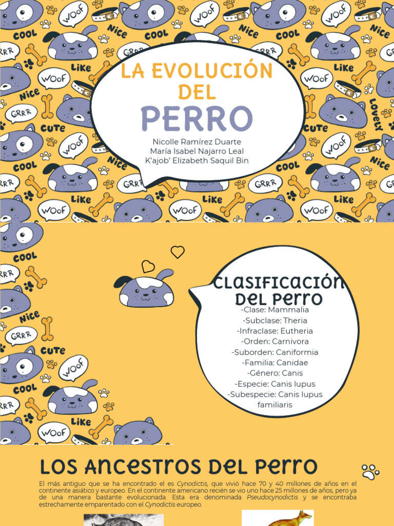 La Evolución Del Perro | PDF | del perro | Canidae