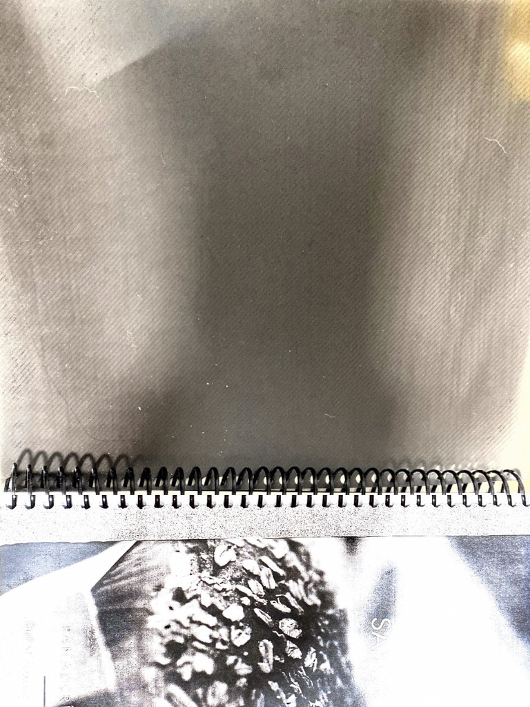 Pan Sabor y Tradicion | PDF