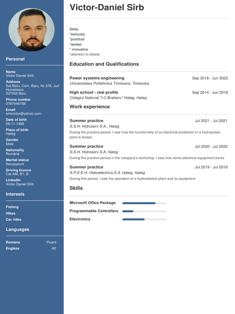 Victor-Daniel Sîrb's CV Summary | PDF