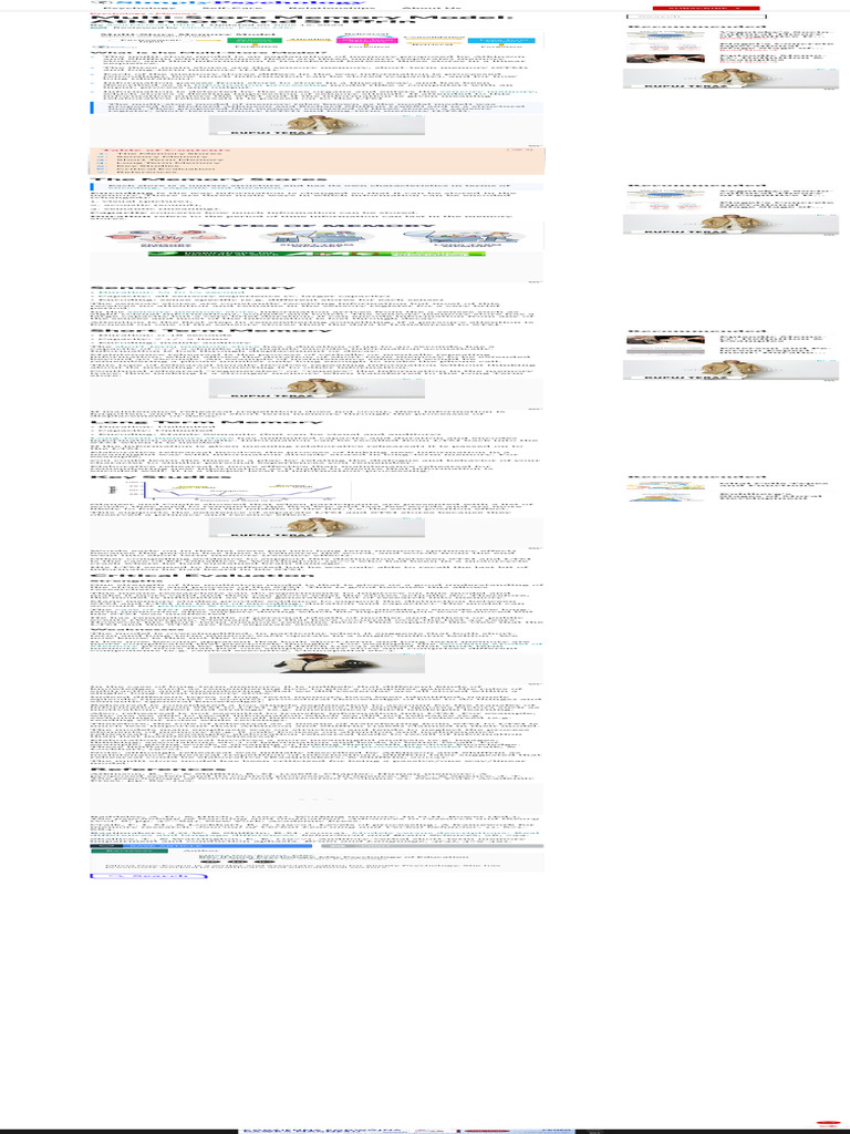 Multi-Store Memory Model Atkinson and Shiffrin | PDF | Long Term Memory ...