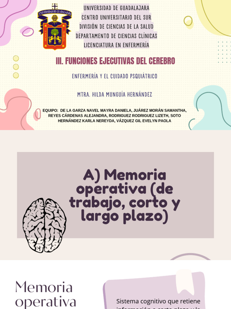 Funciones Ejecutivas Del Cerebro | PDF | Memoria | Mente