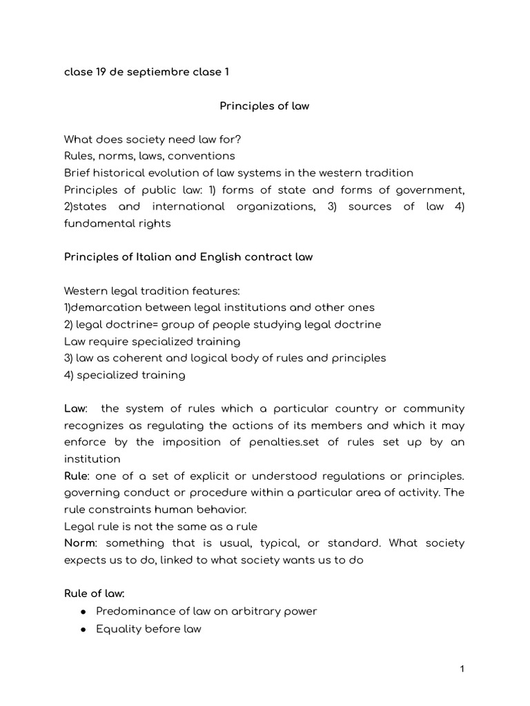 Resumen Principles of Law | PDF | State (Polity) | Constitution
