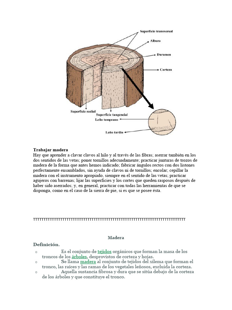 Composicion y Formacion de La Madera | PDF | Tallo de la planta | Madera