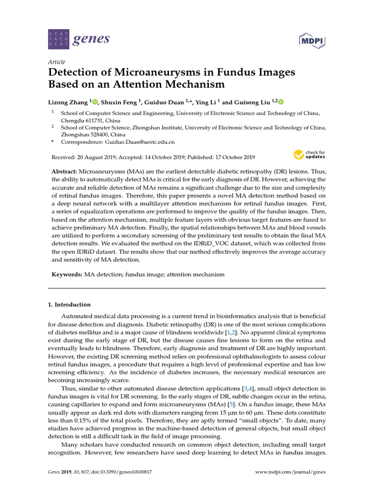 One-dimensional Microaneurysm Feature Sequence Segmentation in Fundus Images | PDF | Deep ...