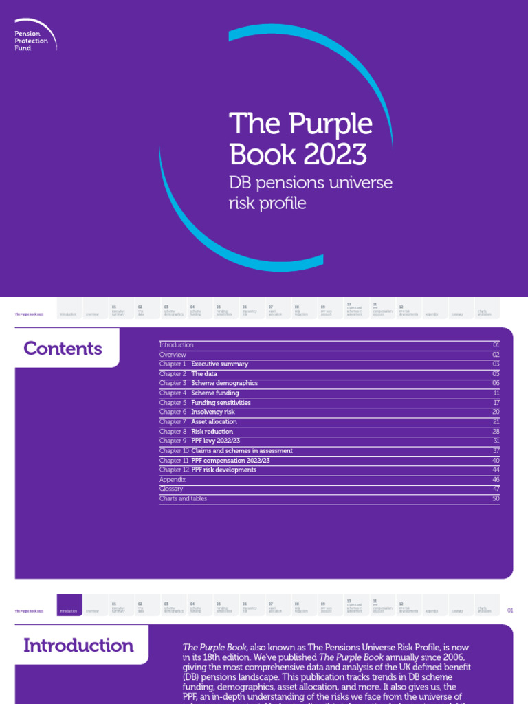PPF The Purple Book 2023 | PDF | Investing | Financial Economics