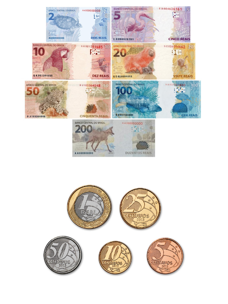 Notas e Moedas | PDF