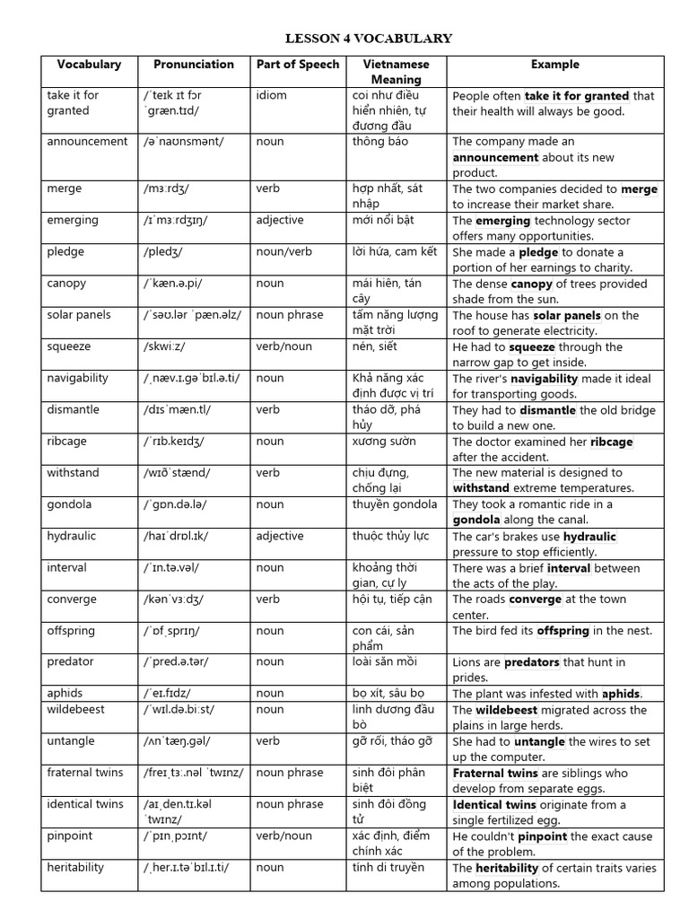 Lesson 4 Vocabulary | PDF | Semantic Units | Linguistic Morphology