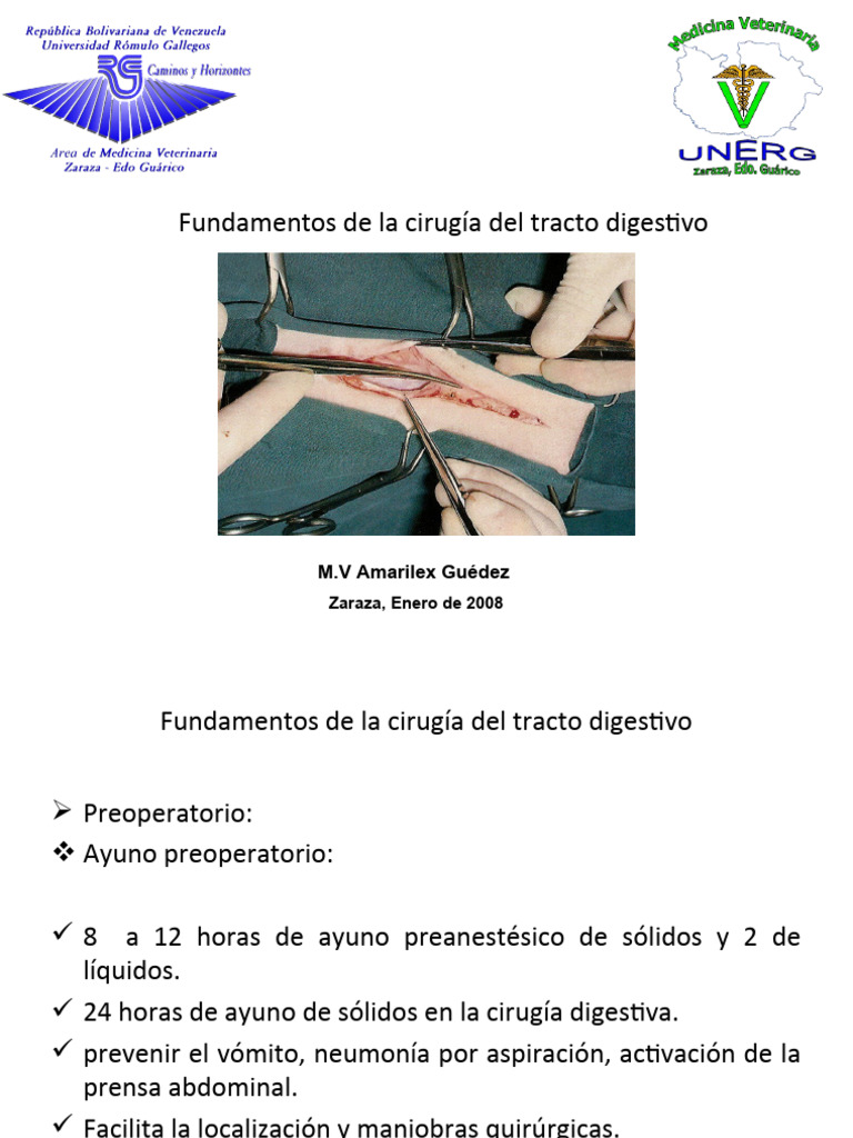 CLASE 9 Fundamentos de Cirugía Digestiva Amarilex | PDF | Cirugía ...