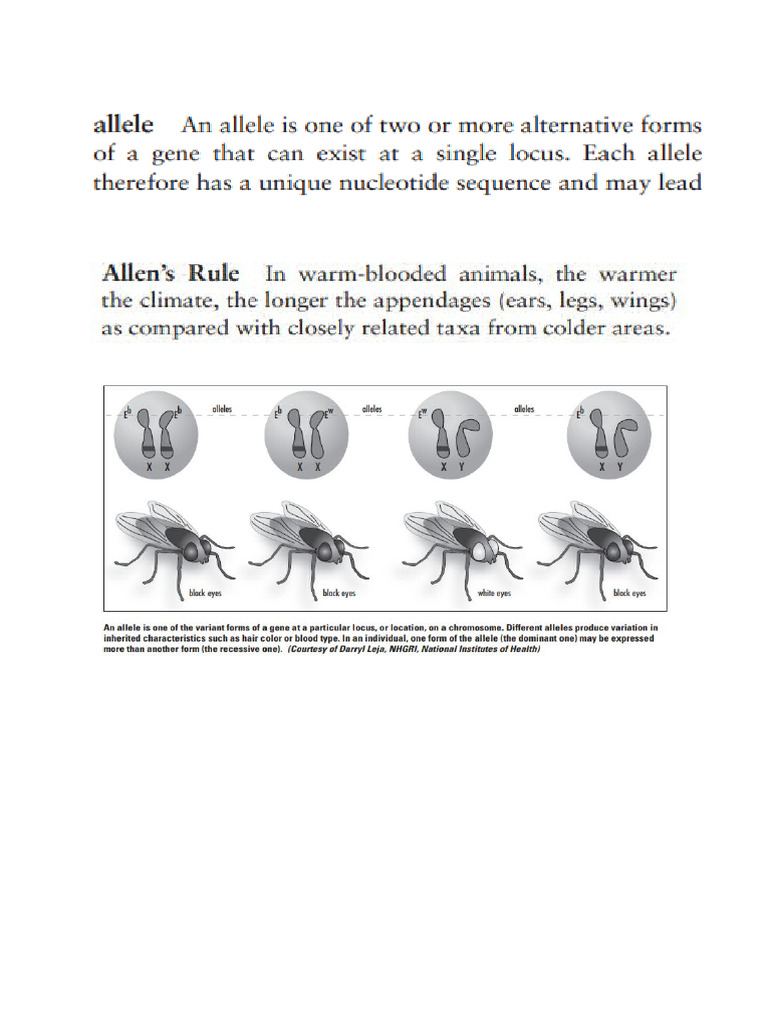 BIO123 - Allele and Allen's Rule | PDF