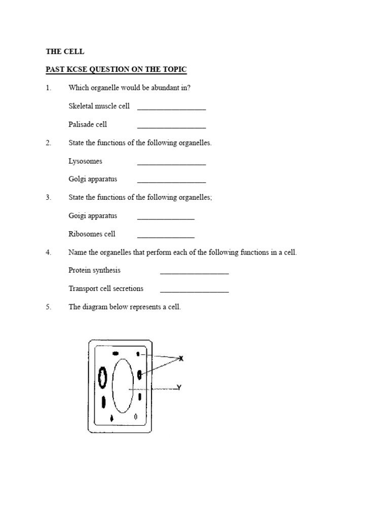 Form 1 Biology: Cell Questions & Answers | PDF