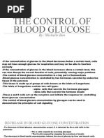 Blood Glucose Homeostasis Flowchart | PDF