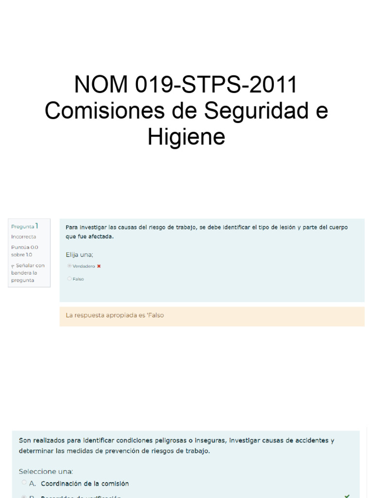 Curso Nom 019 | PDF