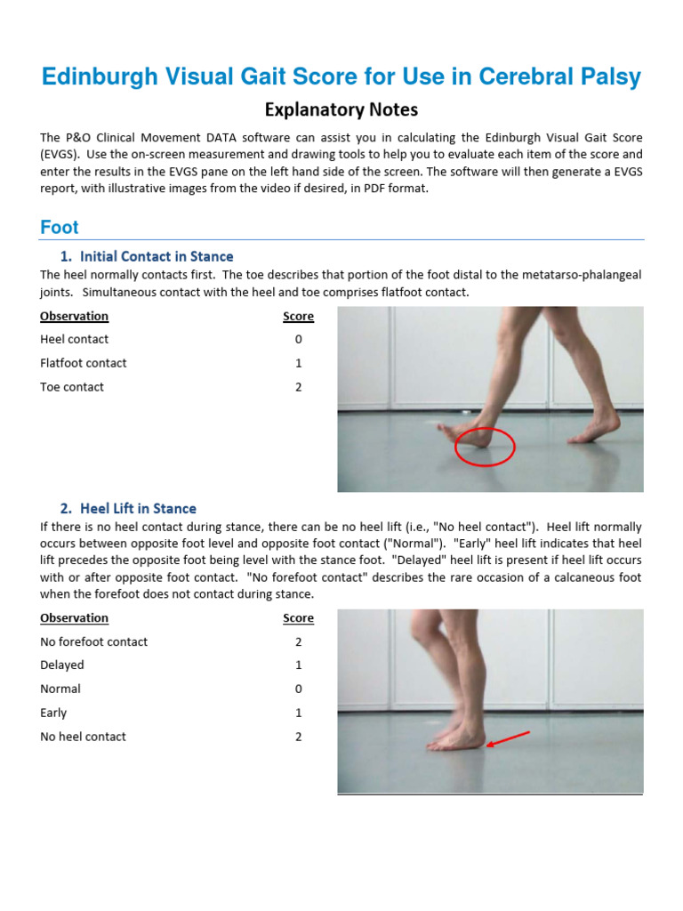 Edinburgh Visual Gait Score Guide | PDF | Anatomical Terms Of Motion | Foot