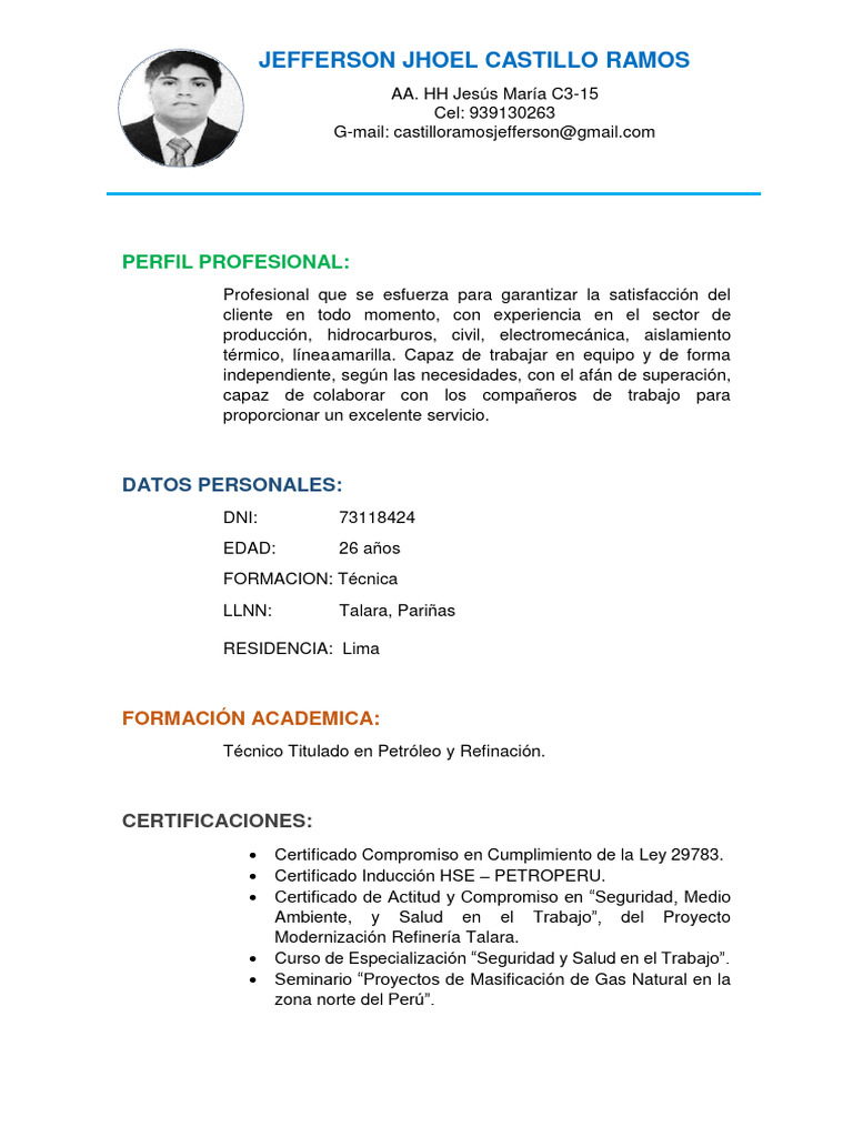 Castillo CV - 2024 | PDF | Documento de identidad