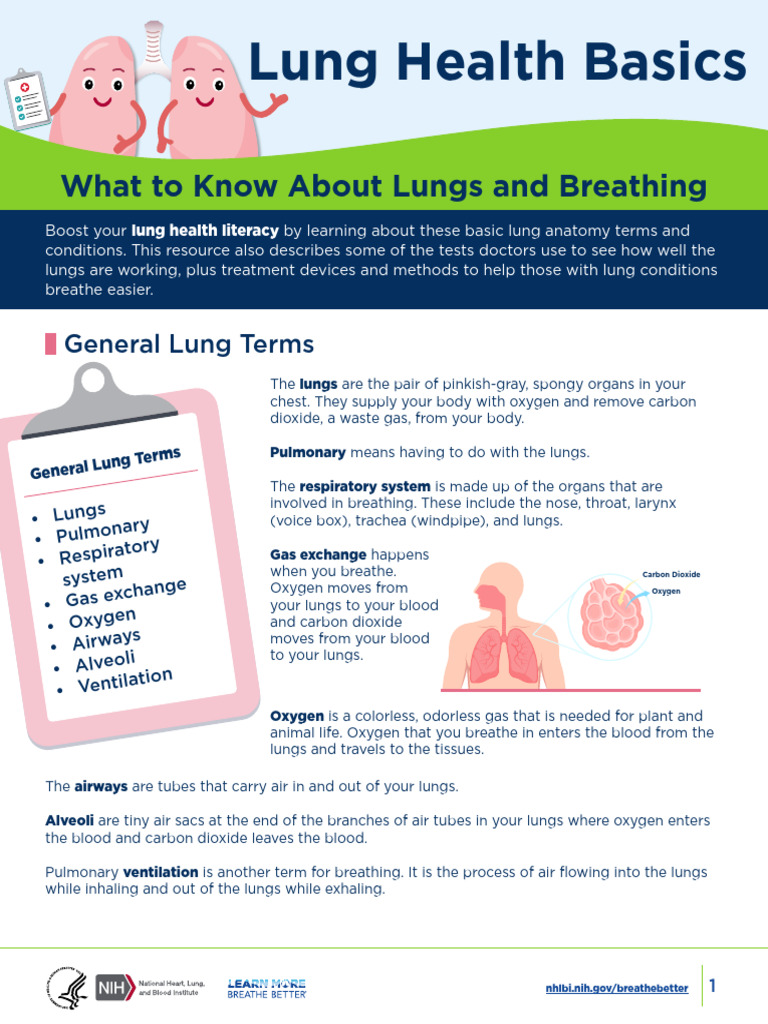 Lung Health Basics Fact Sheet | PDF | Lung | Respiratory Diseases