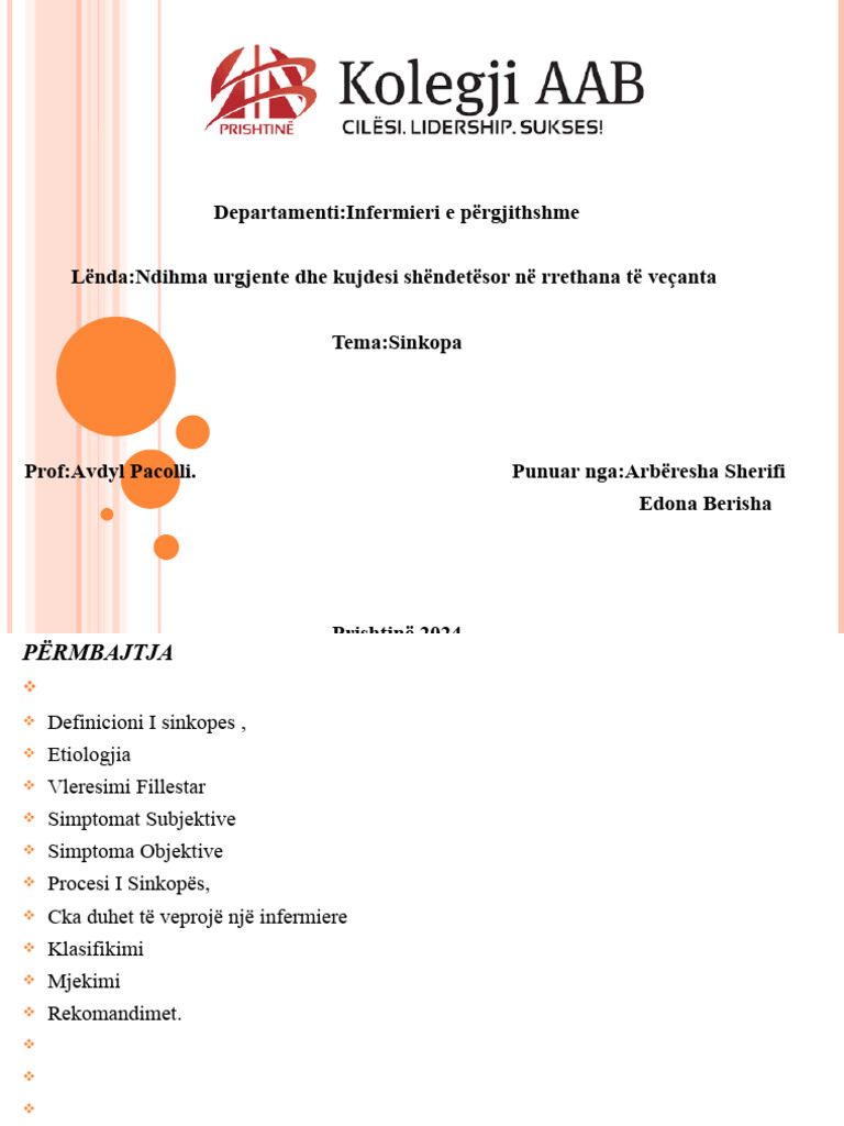 Punim Seminarik | PDF