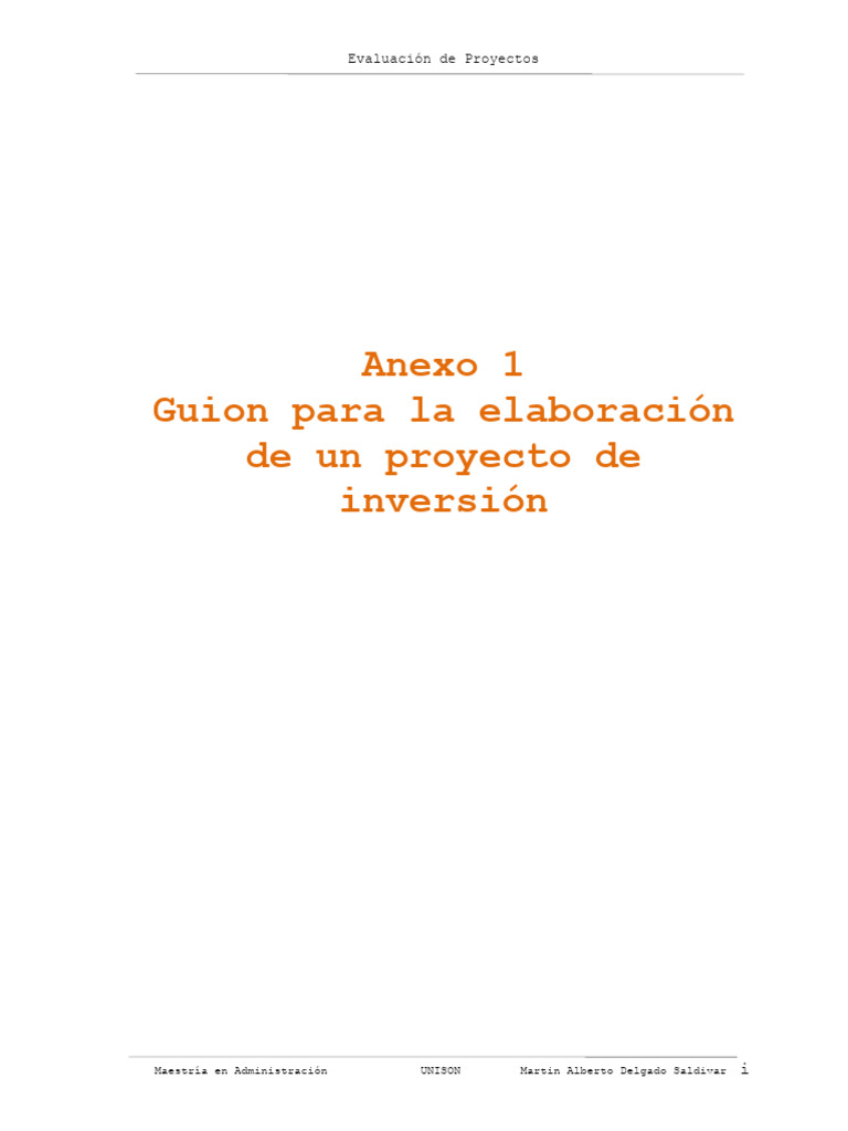 Anexo 1 Guion para La Elaboración de Un Proyecto de Inversión 151231 1515 | PDF | Marketing ...