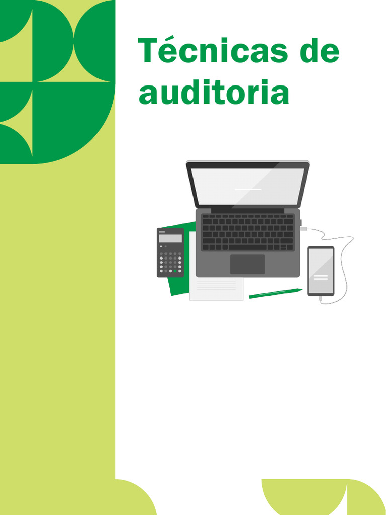 Técnicas de Auditoria | PDF | Auditoría | Contralor