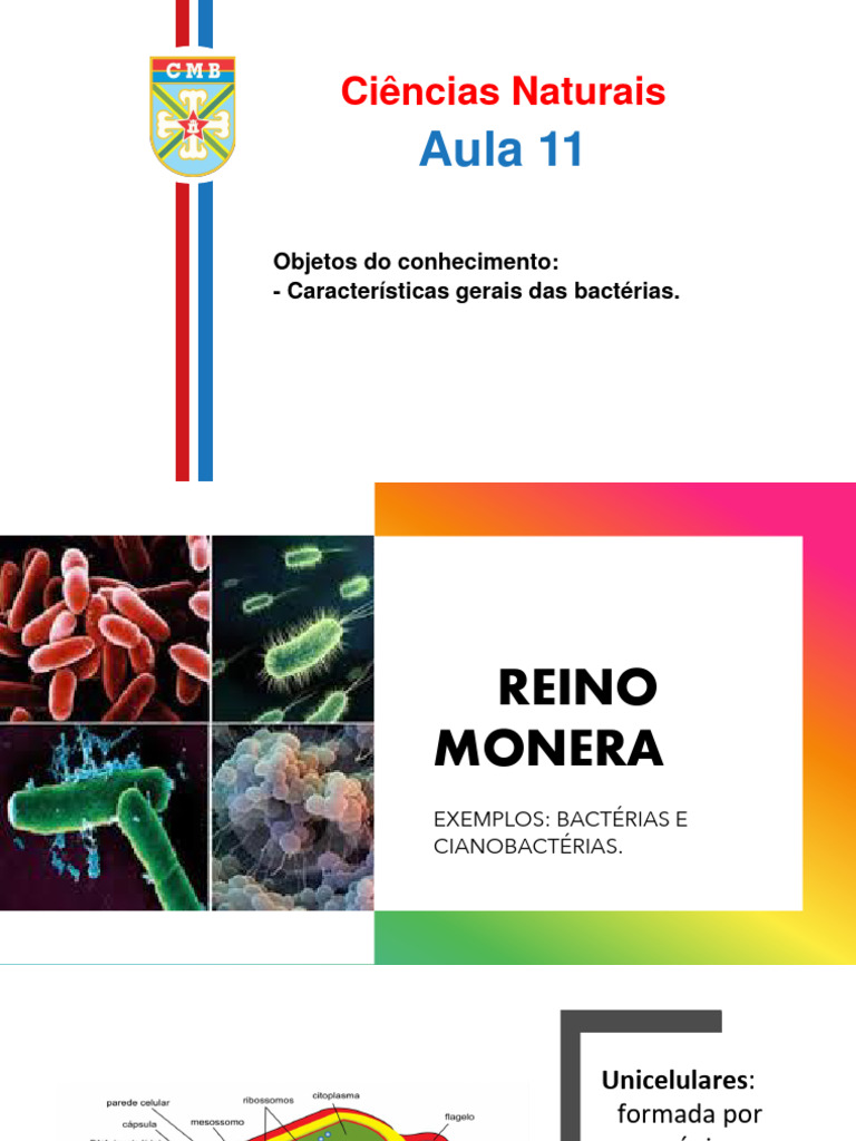 Reino Monera | PDF | Bactérias | Organismos