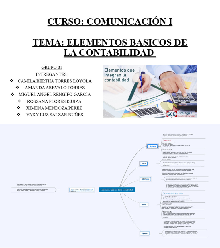 ELEMENTOS BASICOS DE LA CONTABILIDAD | PDF | Contabilidad | Business