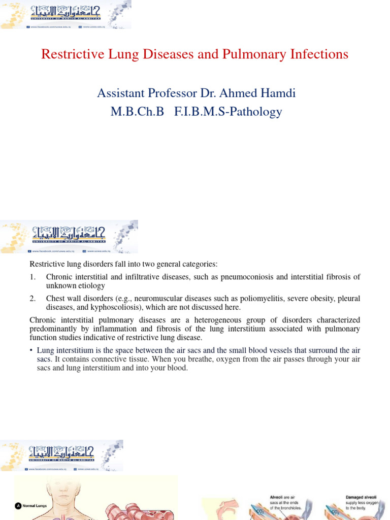 Lec.2 Respirotary System Saif | PDF | Pneumonia | Respiratory Diseases