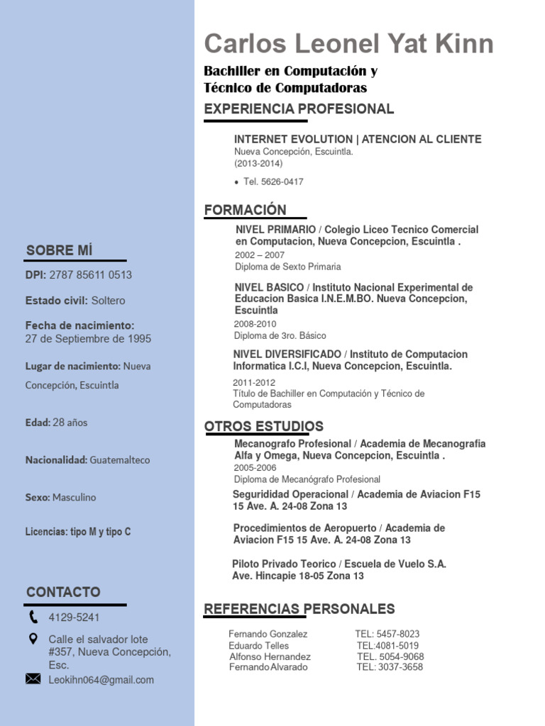 Curriculum Carlos Kihn | PDF