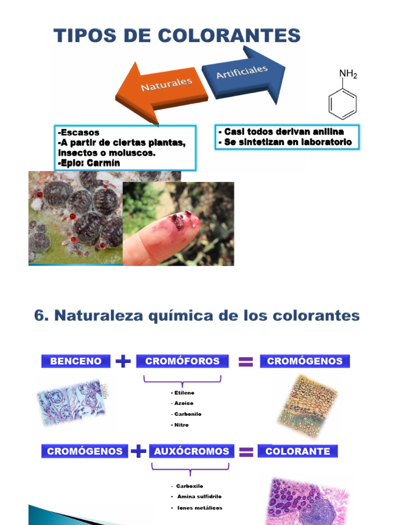 Clasificación y Uso de Colorantes en Tinción | PDF | Tinción | Biología