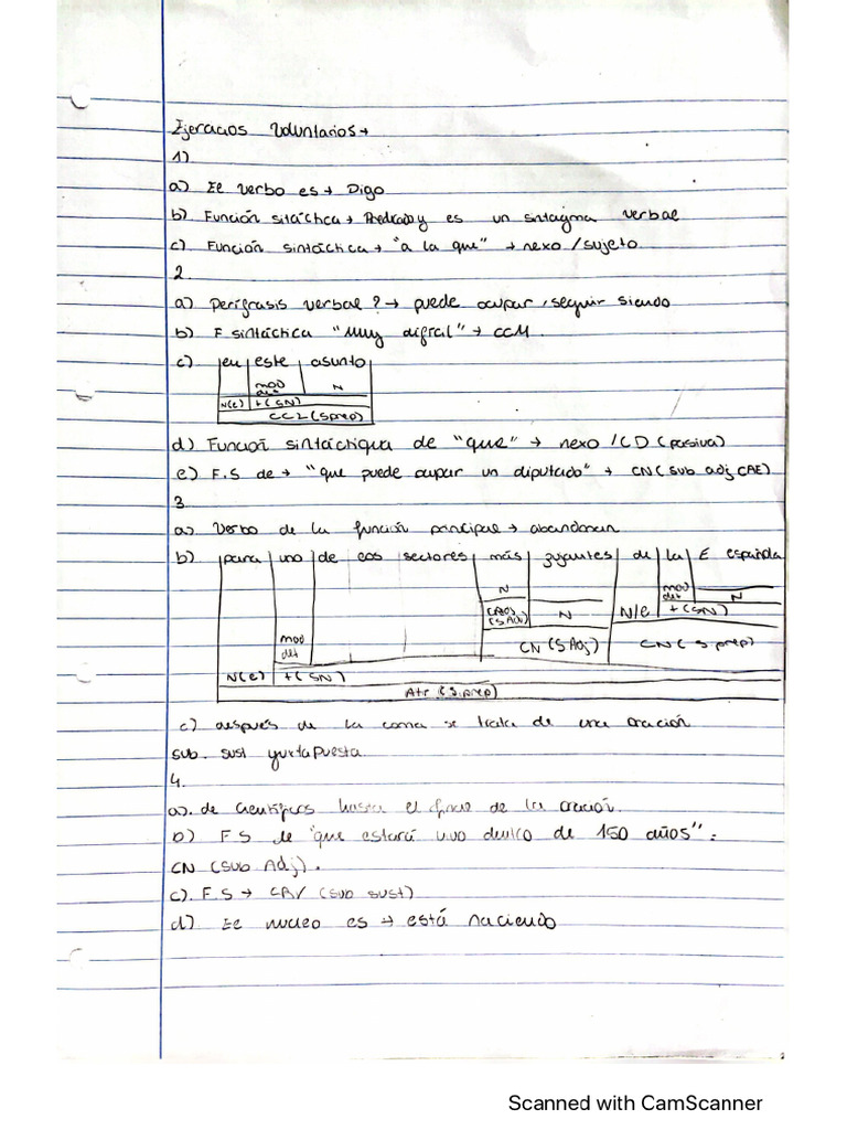 Ejercicios Voluntarios | PDF