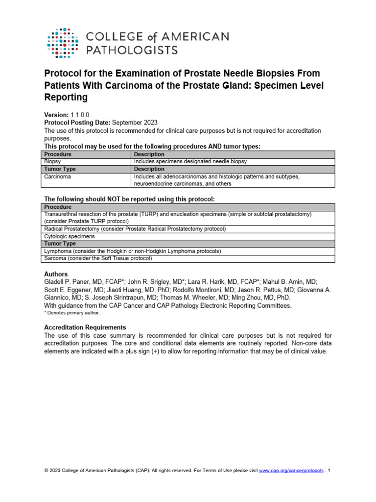 Prostate - Needle.specimen - BX 1.1.0.0.REL CAPCP | PDF | Biopsy ...