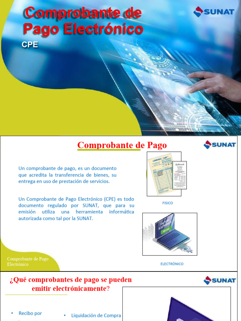 Cur 8714 | PDF | Factura | Informática