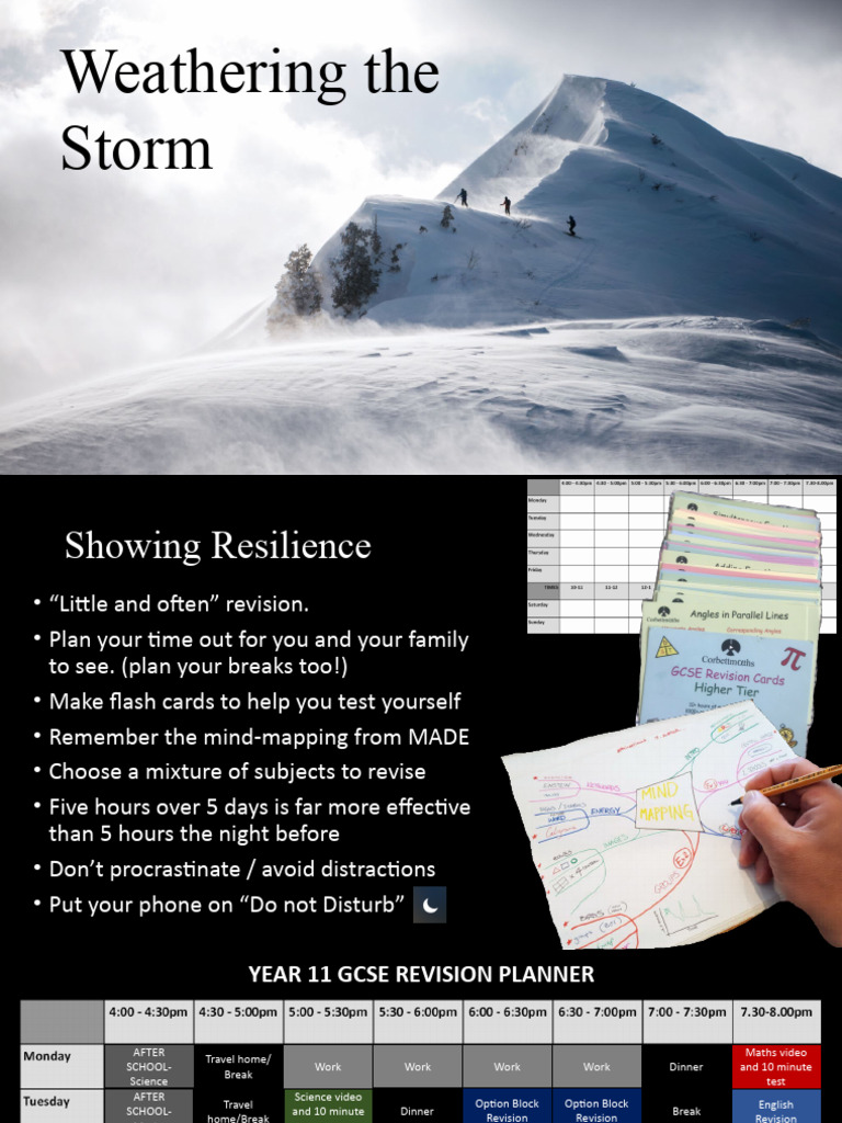 Weathering The Storm | PDF