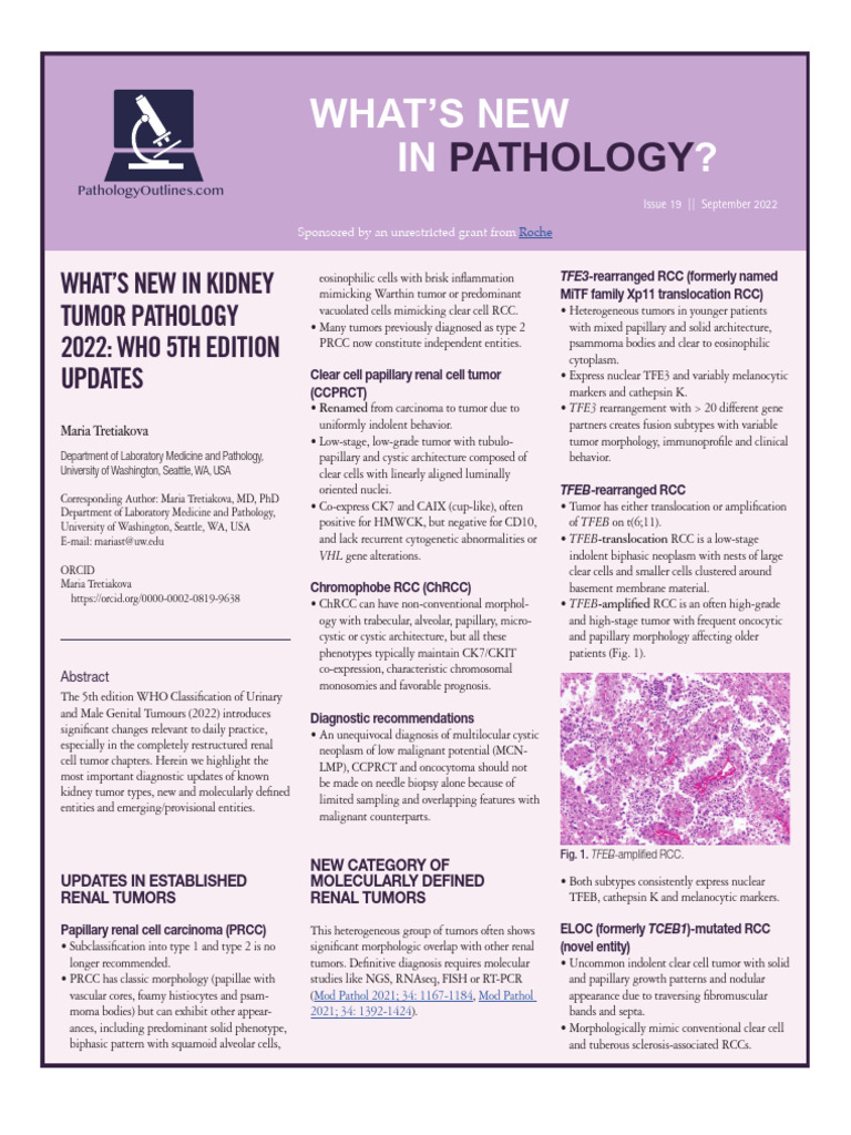 Newsletter Pathologyoutlines Kidney Pdf Neoplasms Diseases And