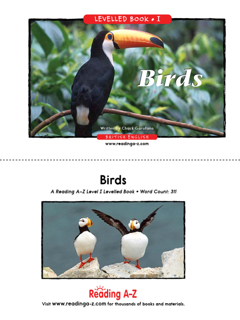 Birds Pdf Pdf Beak Eagle