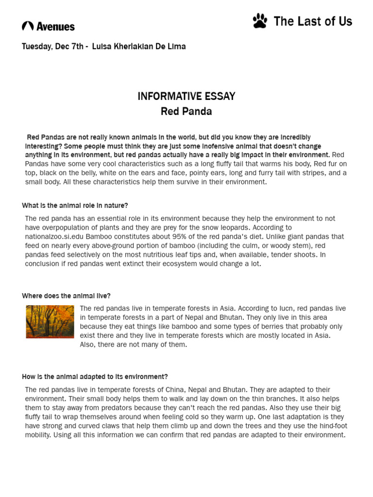 Red Panda: Importance and Adaptations | PDF | Giant Panda | Bamboo