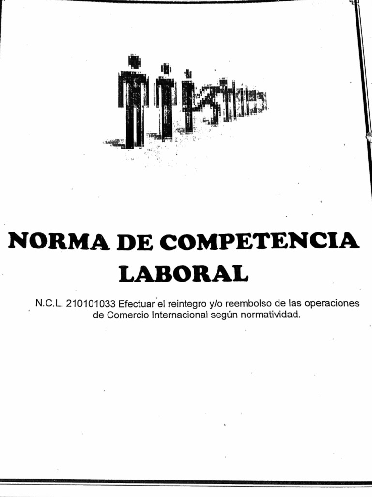 Norma de Competencia Laboral | PDF