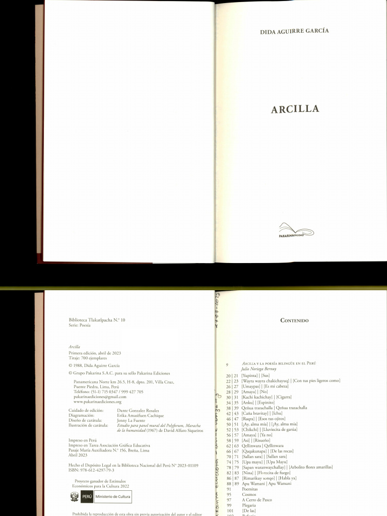 Arcilla - Dida Aguirre | PDF