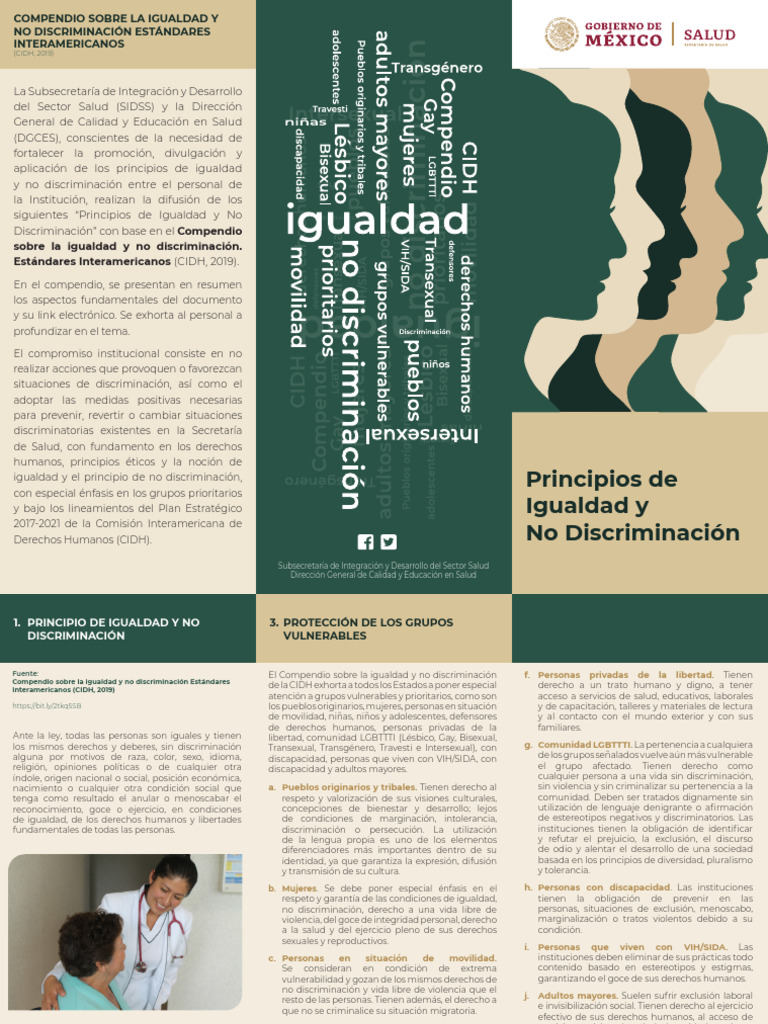 Principios Igualdad No Discriminacion | PDF | Discriminación | Estudios LGBTQIA+