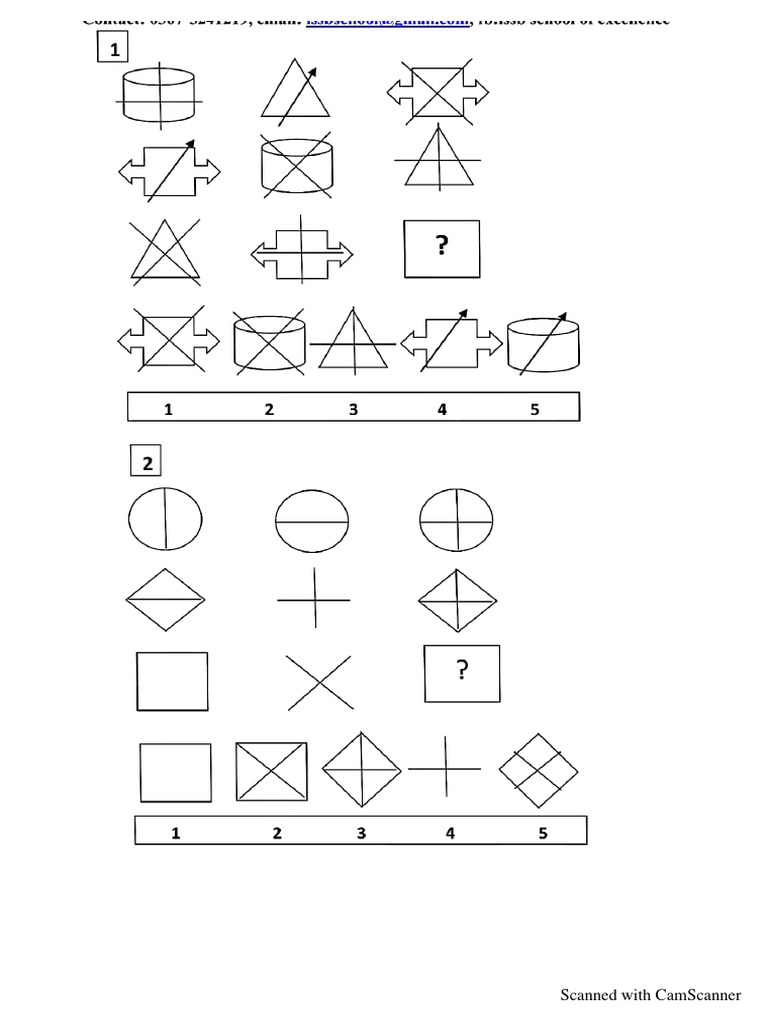 Non Verbal by Pro Genius Students | PDF