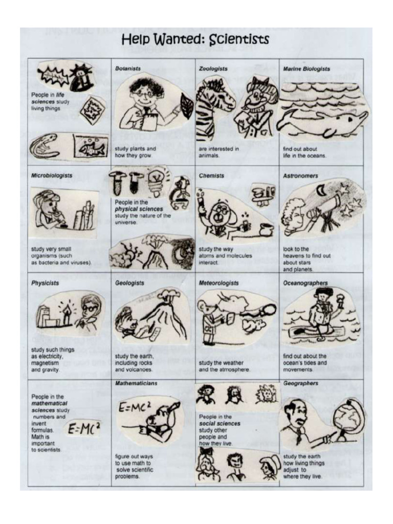Guidlines and Instructions For Science Fair | PDF | Experiment | Water