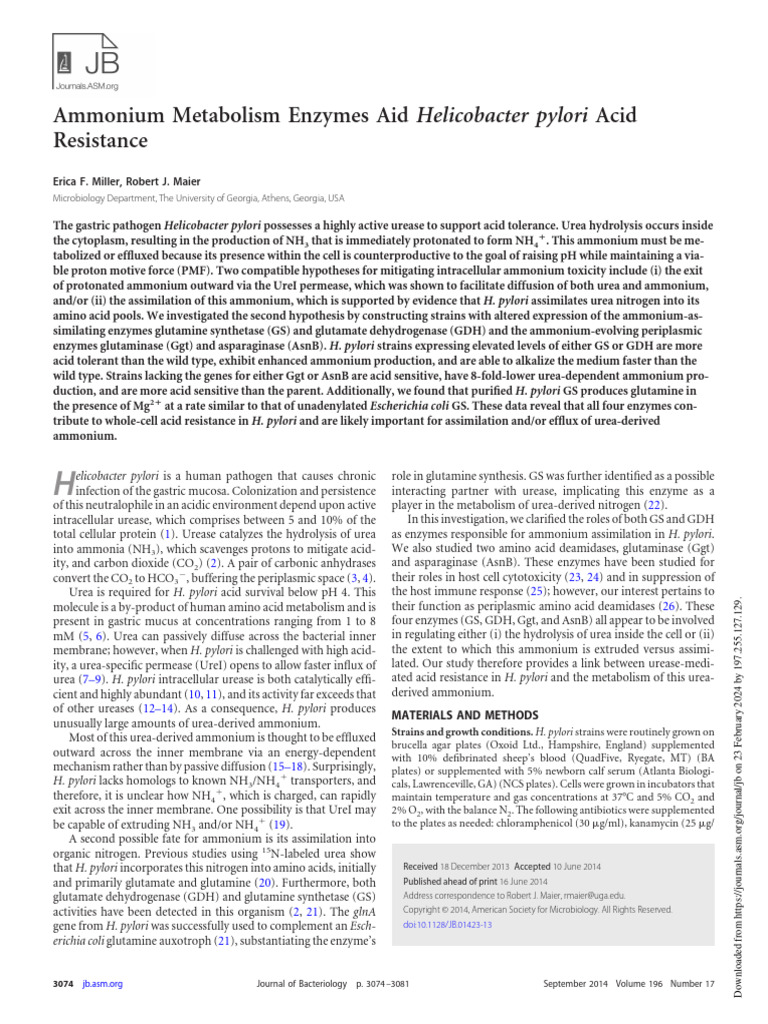miller-maier-2014-ammonium-metabolism-enzymes-aid-helicobacter-pylori ...
