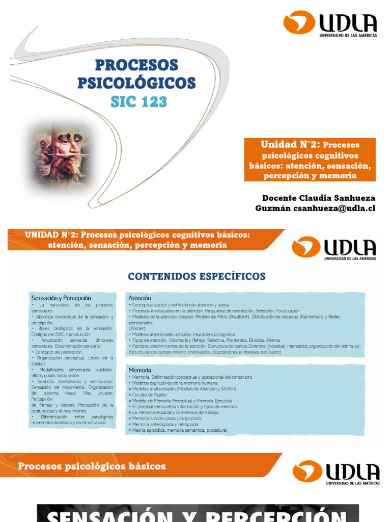 Sensación y Percepción | PDF | Percepción | Sentidos