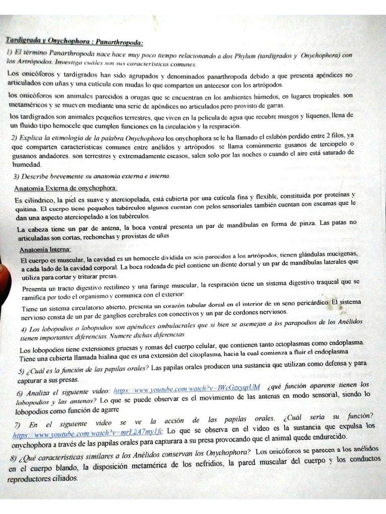 Biologia Animal 2 | PDF